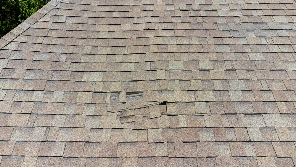 Top 10 Roof Inspection Check New Jersey Homeowners Must Know